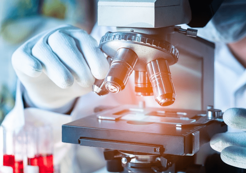 Home ISPPD2024 | ISPPD 2024 - 13th Meeting of ISPPD